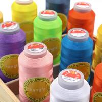 China High Temperature Resistant 120D/2 Polyester Thread for Reflective Embroidery on Sofas for sale