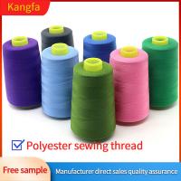 China 100% Polyester Yarn 40s/2 Color Spun TKT120 Sewing Thread for Textile Manufacturing for sale