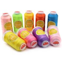 China Polyester Embroidery Thread 120d/2 for Embroidery Production Performance for sale