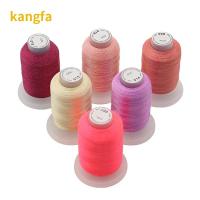 China 40 Colors 100% Polyester Embroidery Thread Set Kit 120d/2 500m For Quilting Stitching for sale