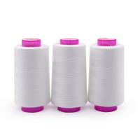 China DIY Sewing Thread Polyester Spools for Hand Machine Sewing in Black/White Cotton for sale