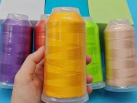 China 4000m Computer Polyester Embroidery Thread in Different Colors for Embroidery Machine for sale