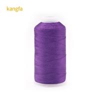 China 120g Net Weight 120D/2 High Strength Color Fastness Polyester Embroidery Thread for Spot for sale