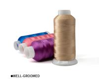 China 100% Polyester High Speed Embroidery Thread 120D 5000Y for Professional Embroidery for sale