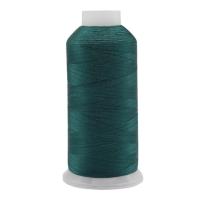 China 125G Embroidery Thread 120D 5000Y Polyester Thread for High Speed Embroidery Machine for sale