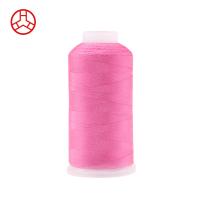 China OEM ODM 120/2 4000yard 100% Polyester Embroidery Thread for High Temperature Resistant for sale
