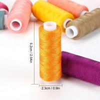 China 60 Colors Rainbow Polyester Sewing Thread For DIY Machine Embroidery UV Protect for sale