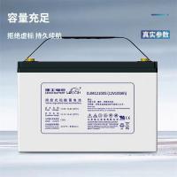 China AGM12V100AH Ris Lead Acid Maintenance-Free Battery for Solar Energy Storage and UPS for sale
