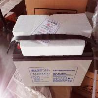 China AGM12V100AH Ris Lead Acid Maintenance-Free Battery for Solar Energy Storage and UPS for sale