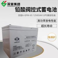 China Shoto/6-GFM-65 Lead Acid Battery 12V65AH for Communication and Solar Energy Storage for sale