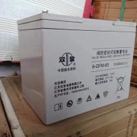 China Shoto/6-GFM-65 Lead Acid Battery 12V65AH for Communication and Solar Energy Storage for sale
