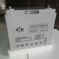 China 12V100Ah Chargeable Lead Acid Battery for Solar Energy Storage Power and Communication for sale