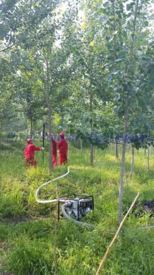 China TSP-Flush40 drilling rig for river net area oil shothole for sale