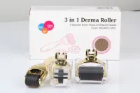 China OEM/ODM customized brand 3 In 1 Drs Derma Roller For Anti Aging Stainless Steel Titanium for sale