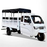 China Electric Loading 3 Wheeler Cargo Motorcycle on Promotion Euro 3 Emission Standard for sale