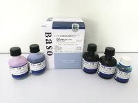 China Baso Leukocyte Peroxidase Stain Pox Stain Oxidation WG-KI Method for sale