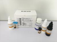 China Acid Alpha Naphthyl Acetate Esterase Stain 20Tests For Medical Diagnosis for sale