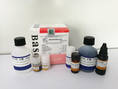China Acid Alpha Naphthyl Acetate Esterase Stain Anae Stain 100Tests For Medical Diagnosis for sale