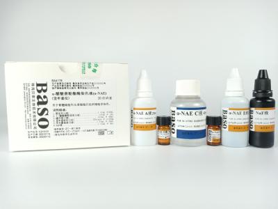 China a-Naphthyl Acetate Esterase Stain (a-NAE) (Fast blue method)  20 Tests for Healthcare Facility for sale