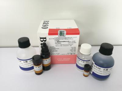 China a-Naphthyl Acetate Esterase Stain (a-NAE) (Fast blue method)  100 Tests for Healthcare Facility for sale