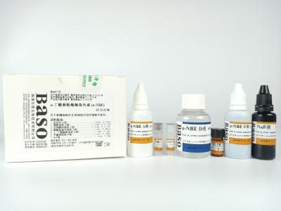 China a-Naphthyl Butyrate Esterase Stain (a-NBE) 20 Tests Baso Clear Colourful Stains for sale