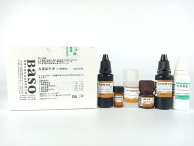 China Fungal Stain Hexamine Silver Method Baso Clear Colourful Microbiology Stains for sale