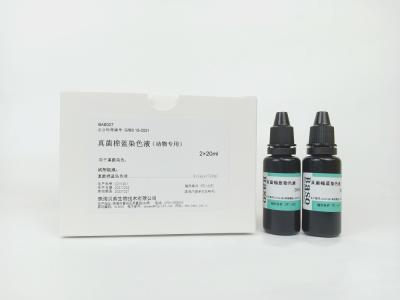 China IVDR Class A Certified Fungal Cotton Blue Stain For Animals And Pets 2×20ml for sale