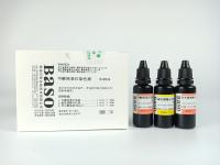 China Congo Red Stain Kit For Hospital Medical Diagnosis 3x20ml 3x100ml for sale