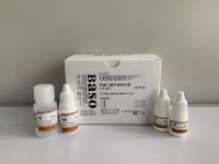 China 10Tests/Kit Histology Stains Helicobacter Pylori Stain W-S Method for sale