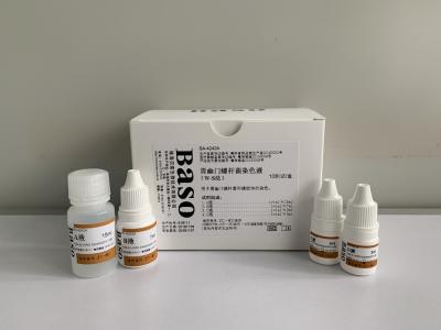 China 10Tests/Kit Histology Stains Helicobacter Pylori Stain W-S Method for sale