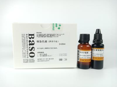 China Copper Stain Kit Rhodanine Method Histology Stains 2x20ml For Scientific Research for sale