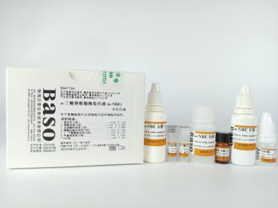 China a-Naphthyl Butyrate Esterase Stain (a-NBE) 6 Tests Baso Clear Colourful Stains for sale