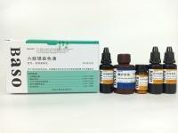 China 100ml 20Tests/Kit Methenamine Silver Stain Solution Baso Clear Colourful Stains for sale