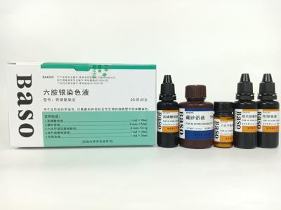 China 100ml 20Tests/Kit Methenamine Silver Stain Solution Baso Clear Colourful Stains for sale