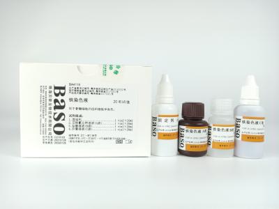 China Iron Stain Kit Prussian Blue Staining Kit 20 Tests ISO Certified for sale