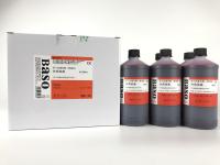 China Rapid Gram Stain Classic Microbiology Stains For Staining Bacteria Or Fungal Smear for sale