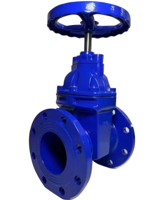 China DIN F4 Elastomeric Seal Flange 4 Inch Soft Seal Gate Valve DN40-DN1200 PN16 For Industrial Drainage for sale