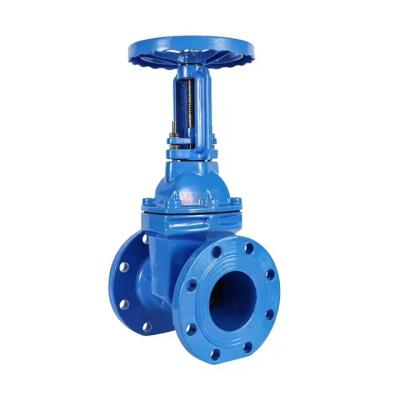 China PN10 Ductile Iron Body 100mm Handwheel Soft Seal Rising Stem Elastic Gate Valve DN50-600mm Industrial Grade for sale