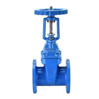 China PN10 Ductile Iron Body 100mm Handwheel Soft Seal Rising Stem Elastic Gate Valve DN50-600mm Industrial Grade for sale