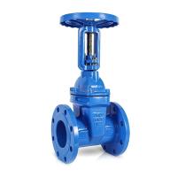 China PN10 Ductile Iron Body 100mm Handwheel Soft Seal Rising Stem Elastic Gate Valve DN50-600mm Industrial Grade for sale
