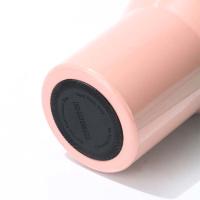 China Colored Steel Double Wall Vessel Scholar Cup Eco Friendly BPA Free Custom Logo Design for sale
