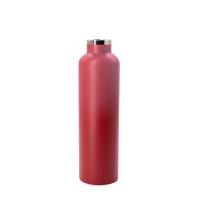 China 18oz 21oz 24oz Vacuum Insulated Bottle , Narrow Mouth Flask Embossing Logo for sale