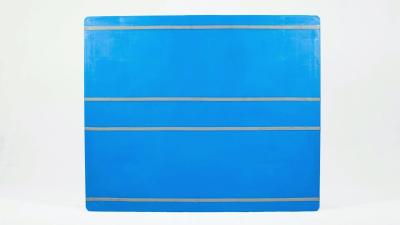 China hygiene Plastic Pallet for pharma factory used plastic pallets for sale recycled plastic pallets for sale