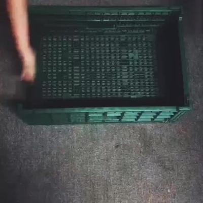 China Small collapsible plastic crates for fruits and vegetables for sale