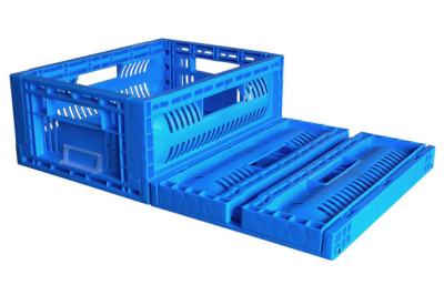 China Recyclable And Washable Collapsible Plastic Crate For Fruit Distribution for sale