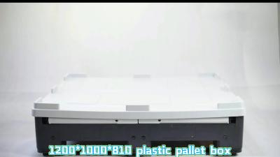 China box pallet 1200x1000x760mm large plastic pallet box bin for fruit and vegetable that drawing by 3d plastic for sale