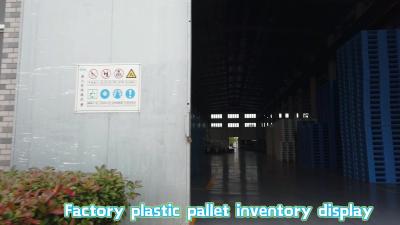 China double deck plastic pallet cheap heavy duty for sale