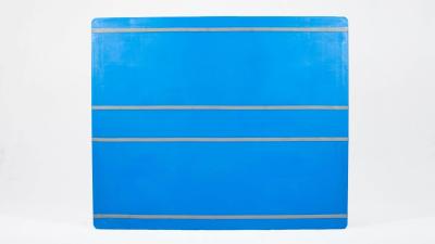 China 1200x1000 plastic pallet durable euro heavy duty 1 ton plastic pallet for sale for sale