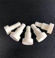 China 99% Alumina Oxide Ceramic Screw Heat Resistant 1600C High Purity Alumina Screws for sale
