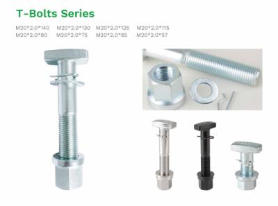 China High Tensile T Bolt Series Wheel Fastener Grade 12.9 for Heavy Duty Truck for sale